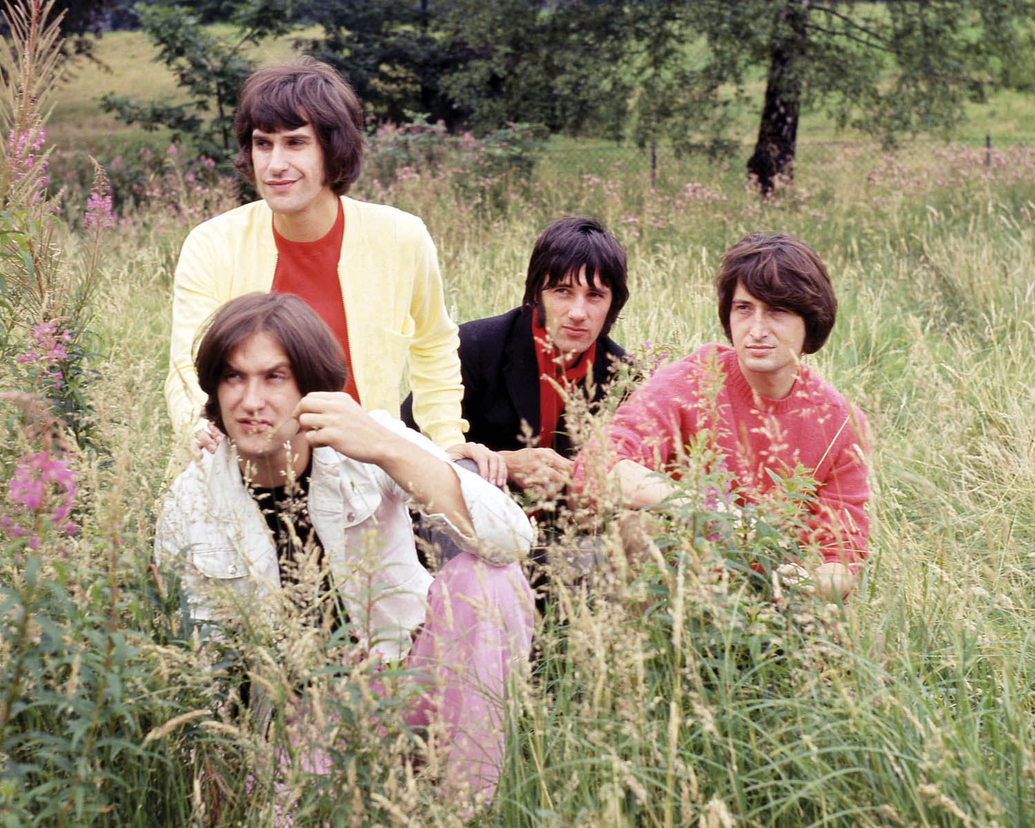 The Band - The Kinks - The Kinks